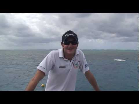The Meaning of the Reef