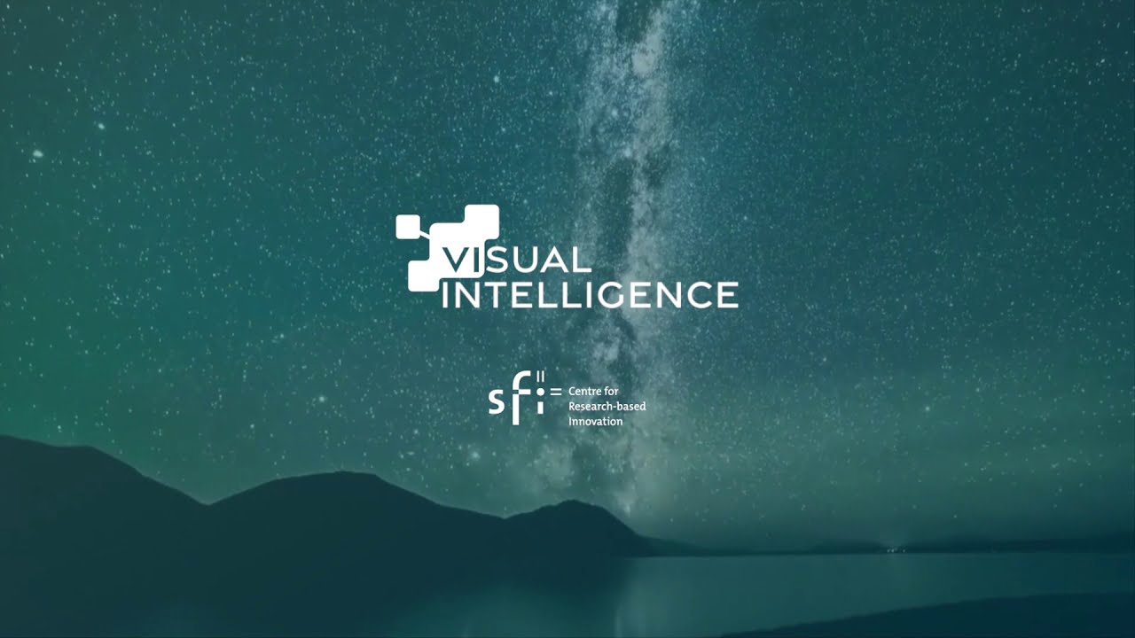 SFI Visual intelligence