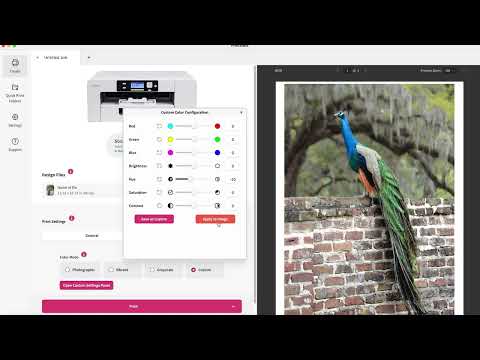 How To: Using the Color Management Tab in PrintMate