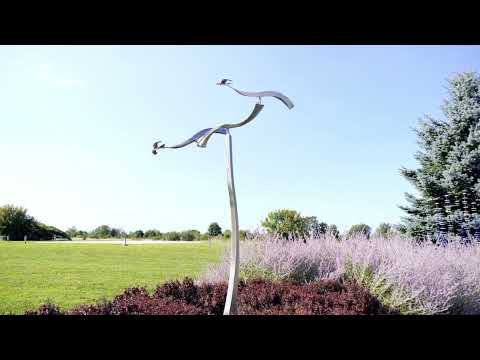 Crossing Paths (Birds in Flight) by Amos Robinson