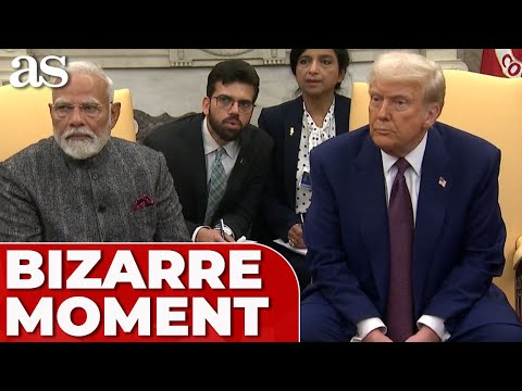 Translator BAFFLES by 'translating' reporter’s ENGLISH into ENGLISH for TRUMP
