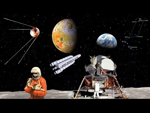 ASTRONOMY | Pet's Names Inspired By...