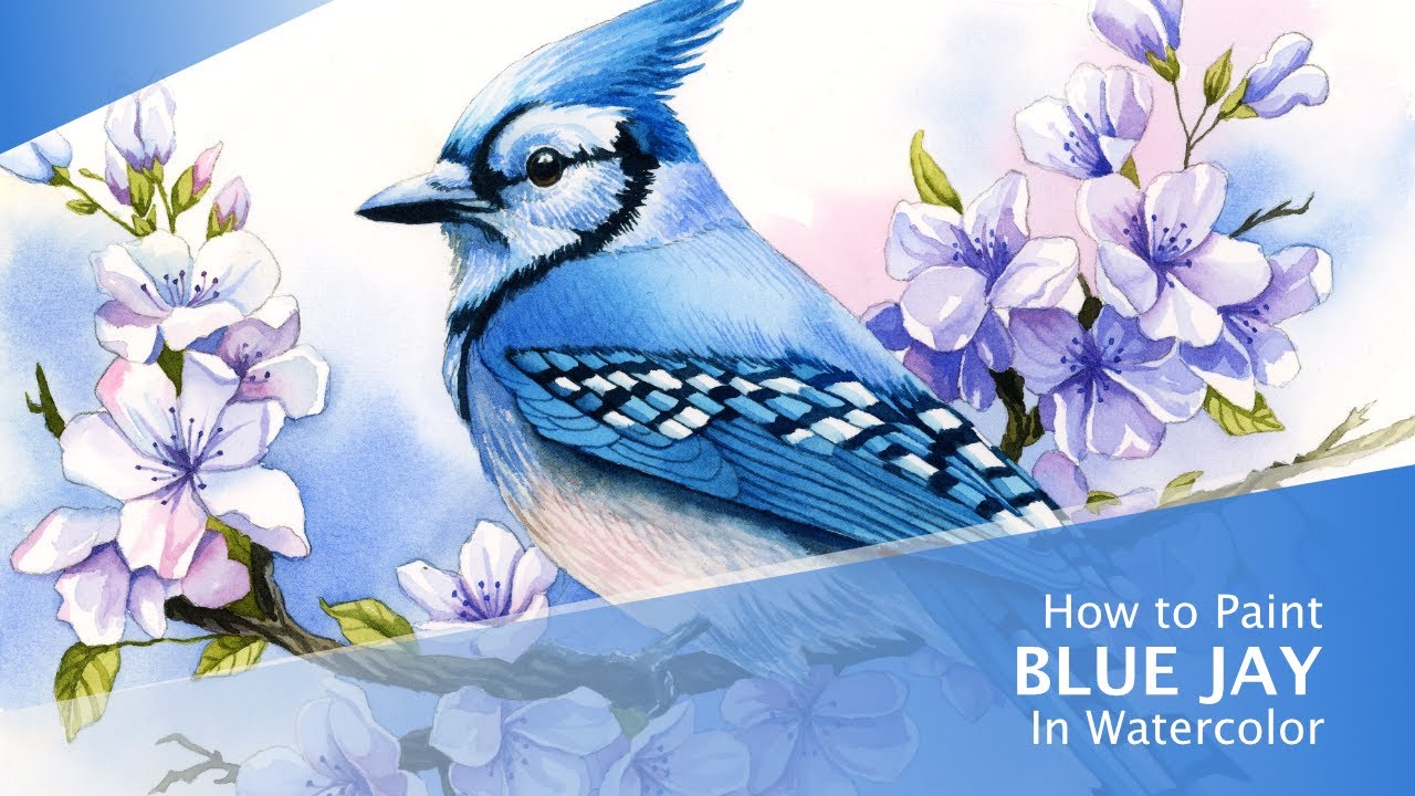 Painting a Blue Jay in Watercolors: Nature's Elegance - Tutorial Preview