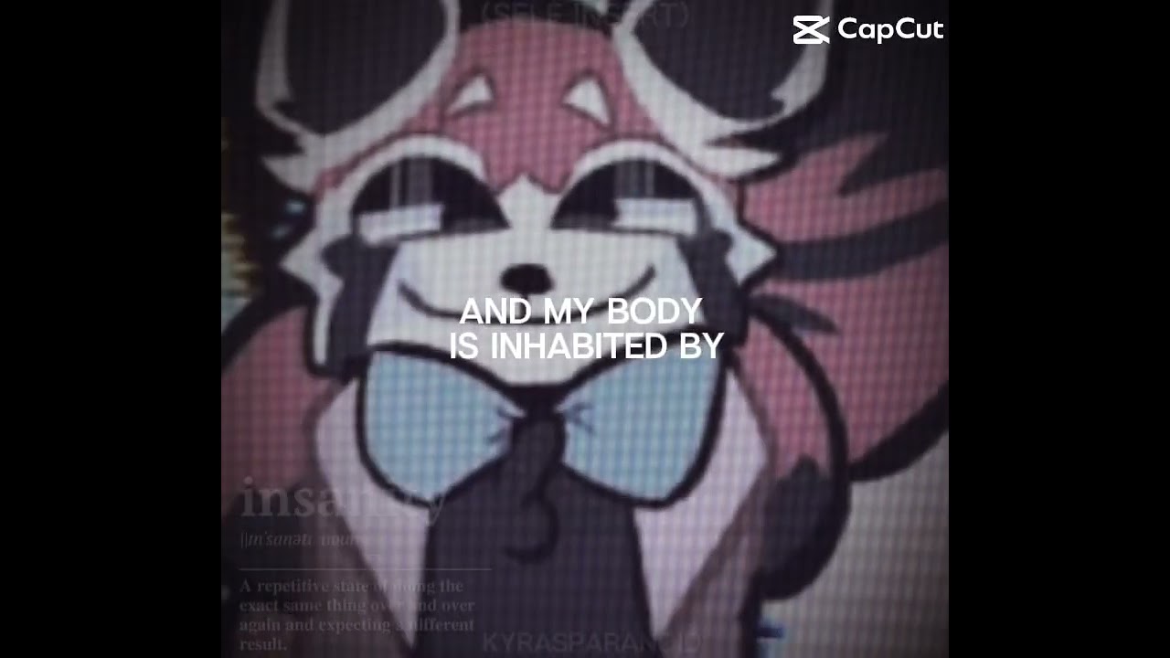 Insanity ‼️(remi he red panda from indigo park) 