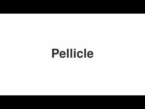 How to Pronounce "Pellicle"