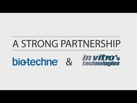 Bio-Techne & In Vitro Technologies a Strong Partnership