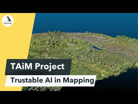New geospatial AI standards for the Environmental Sector: Trustable AI in Mapping (TAiM)