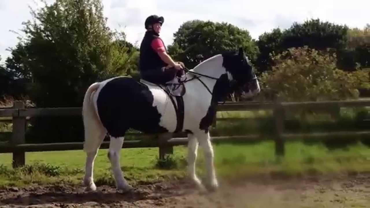side saddle practice 13th Sept 2015 018