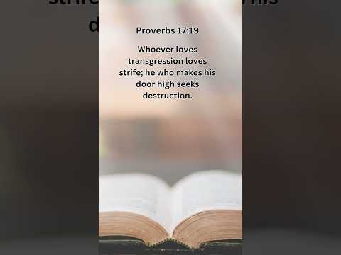 Journey of faith and spiritual growth | Proverbs 17:19 Daily Bible Verse