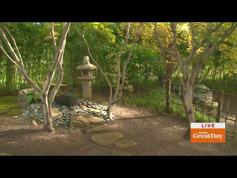 Missouri Botanical Garden: Teahouse Island Tours