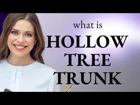 Unveiling the Mystery: The Meaning of "Hollow Tree Trunk"