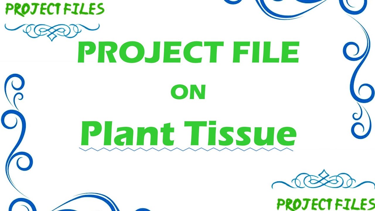 Project File on Plant Tissue (Science)