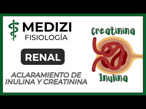 Fisiología Renal - Aclaramiento de Inulina y Creatinina (Depuración o Clearance) (IG:@doctor.paiva)