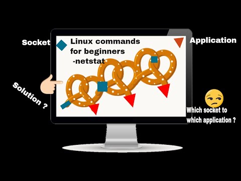 Linux commands for beginners | Linux netstat command example | Hands on experience in Linux commands