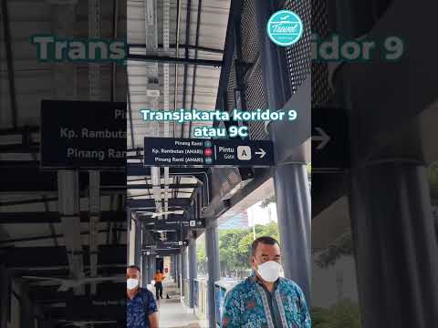 Cara Naik Busway Ke Ragunan – Ala Urang