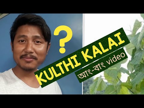 KULTHI KALAI IN ENGLISH