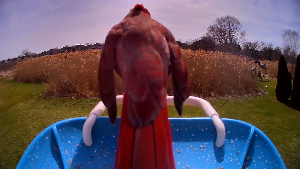 98d06b9d52cc75332ead658e50b82500 2