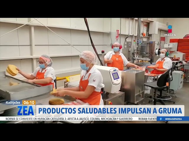 Gruma reporta crecimiento en ventas netas en el primer trimestre de 2024 por operaciones fuera ...