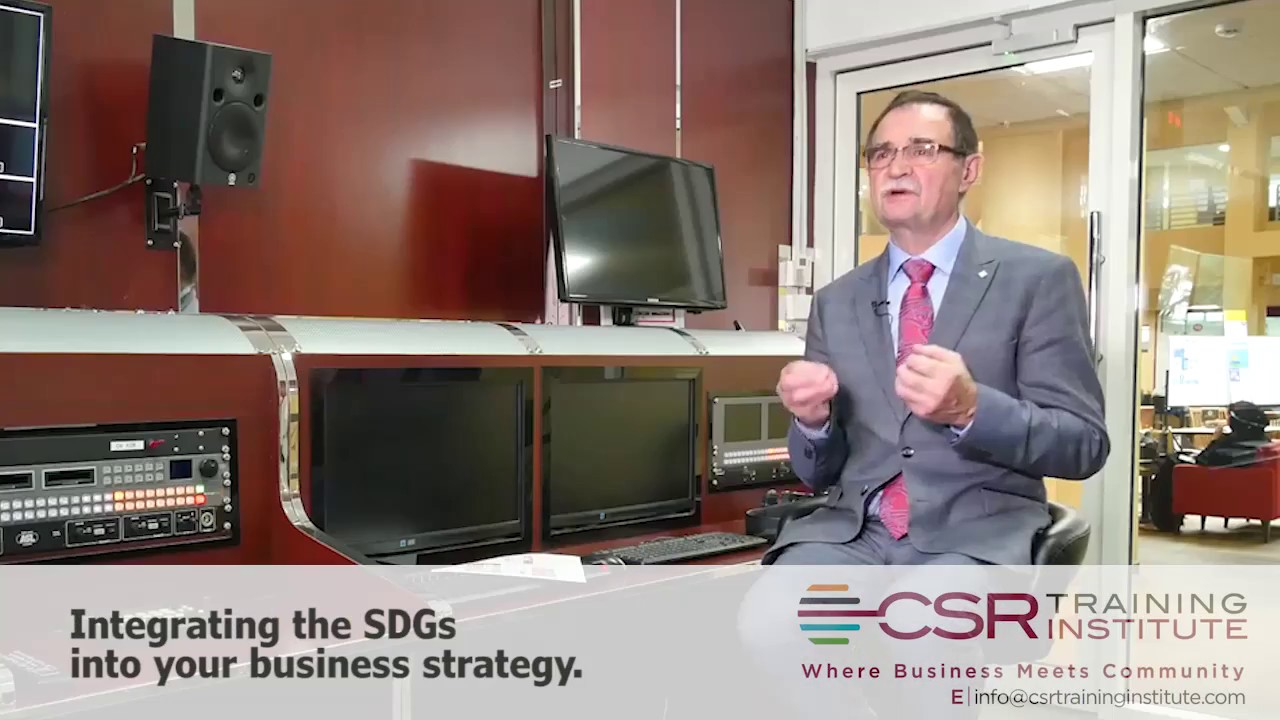 Integrating the SDGs into strategy PROGRAM