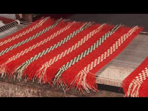 Palmyra Fiber Latest Price, Manufacturers, Suppliers & Wholesalers in ...