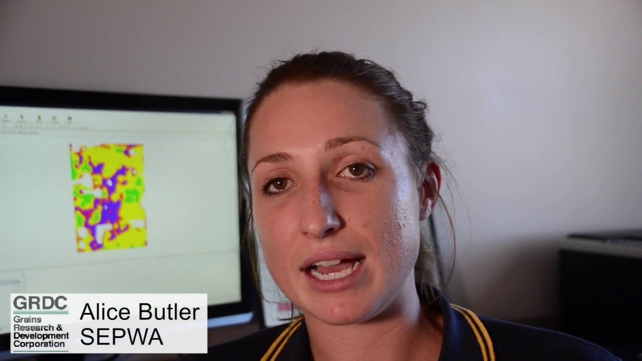 Crop yield predictive technology - Tyson Redding