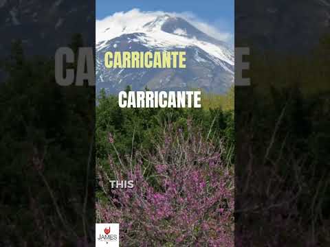 How to Pronounce Carricante #howtopronounce #italianpronunciation #carricante #shorts