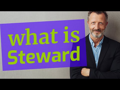 Steward | Definition of steward