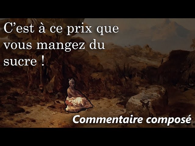 XVIIIe siècle, Mediaclasse : 🔎 L'esclave de Surinam dans Candide de ...