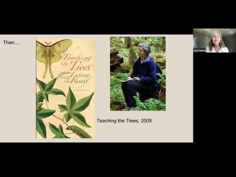 Shinrin-yoku: From Science to Literature to Culture | Joan Maloof