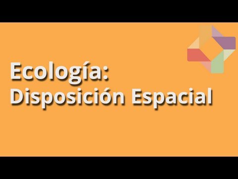 Educatina - Definición y Tipos de Disposición Espacial
