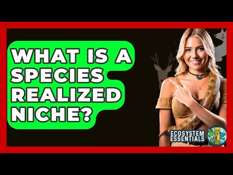 What Is A Species Realized Niche? - Ecosystem Essentials