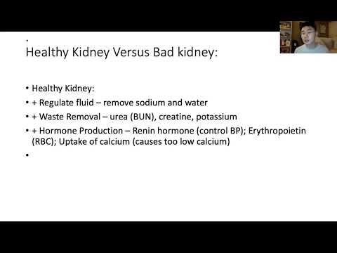 Chronic Kidney Disease, Dialysis and Benign Prostate Hyperplasia - Med Surg 1 Tutor Session - TAMUCC
