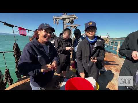 Study Marine Science at AUT