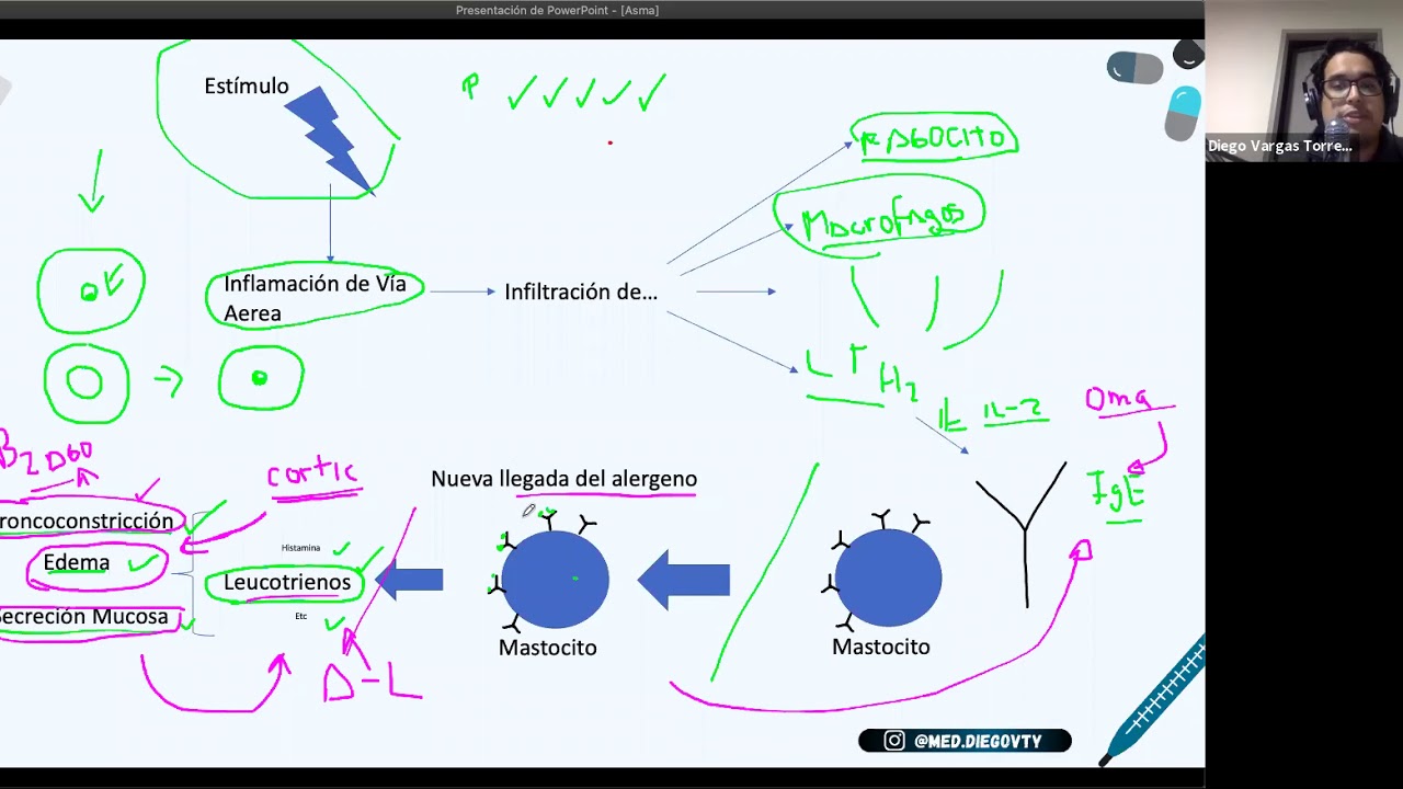 ASMA - CONFERENCIA VIRTUAL CPA