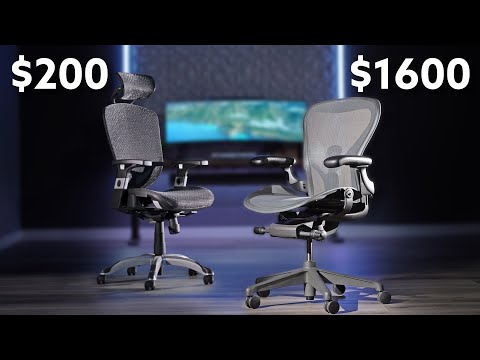 Cheap vs. Expensive Mesh Chairs (and which to buy)