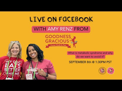 Live with Amy Renz from Goodness Gracious