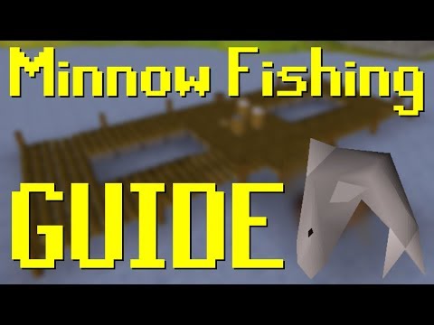 [OSRS] Minnow Fishing Guide