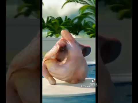 manok na nagsasayaw