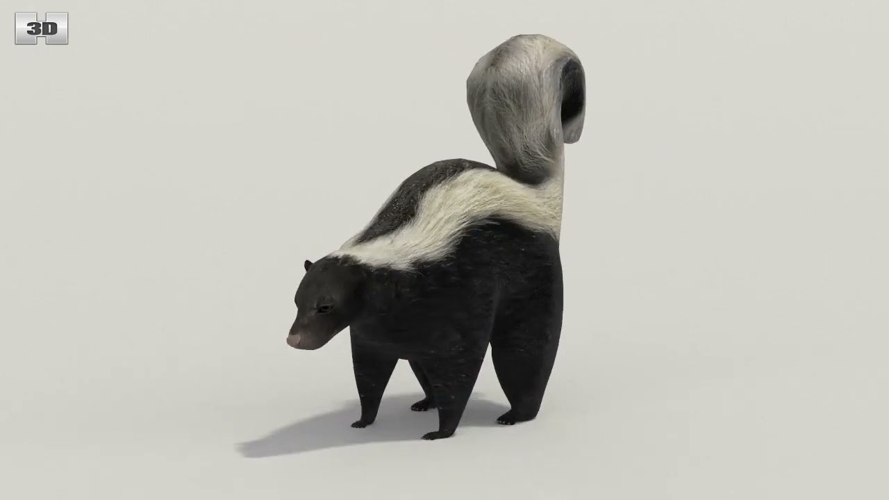 Skunk Low Poly 3D model by 3DModels.org