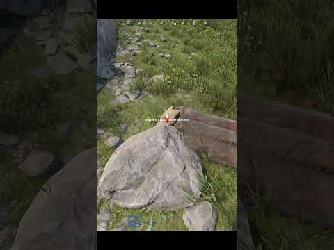 Steam Community :: Video :: Find stashes using seeds! #rust