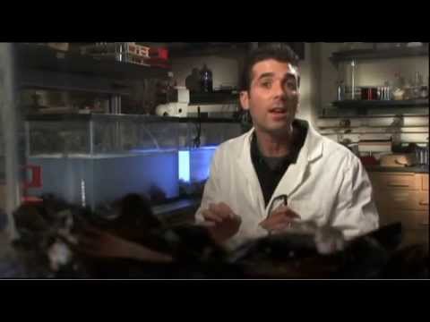 Chemist - Careers in Science and Engineering