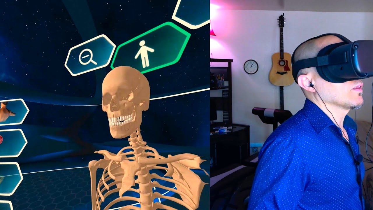 Human Anatomy VR On The Oculus Quest