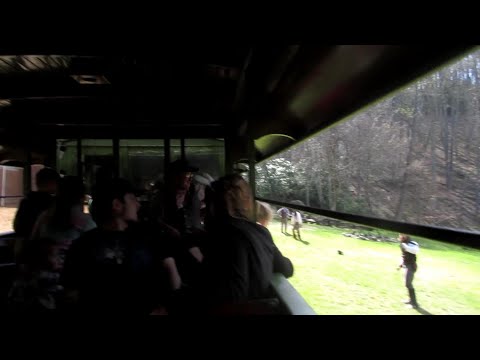 A Tweetsie Train Ride On 4-23-16 Smokey Watches The Show From The Comfort Of The Train