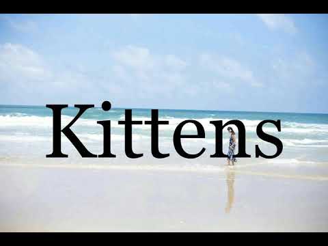 How To Pronounce Kittens🌈🌈🌈🌈🌈🌈Pronunciation Of Kittens
