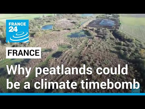 Why peatlands could be a climate timebomb • FRANCE 24 English