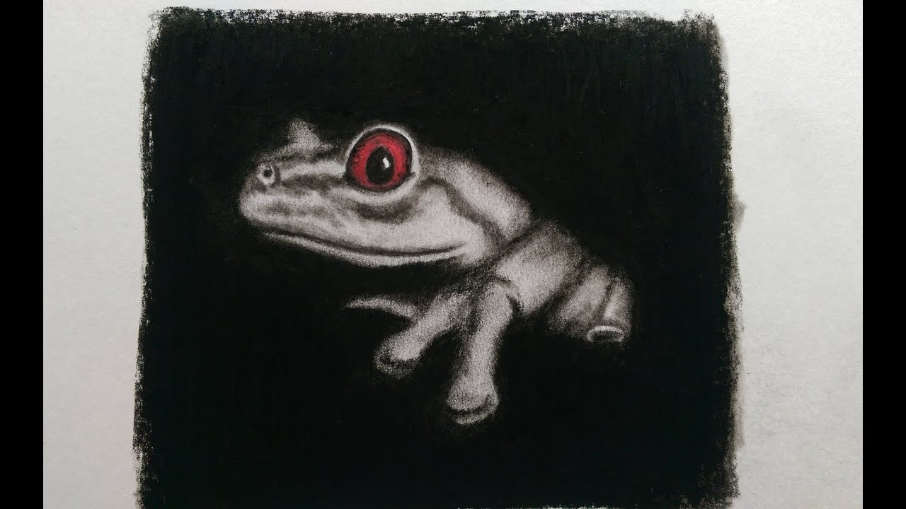 A Red Eyed Tree Frog Drawing - Timelapse