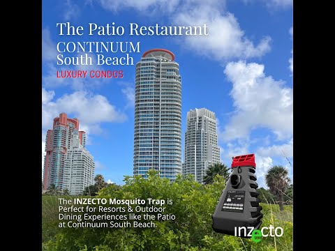 The πππππΎππ ππ€π¨π¦πͺππ©π€ ππ§ππ₯ is the Perfect Ecofriendly Solution for Outdoor Dining