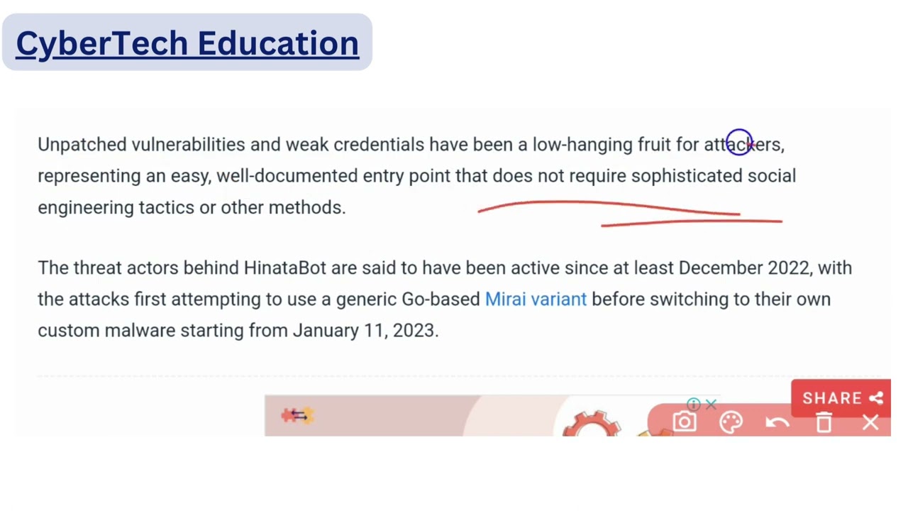 New GoLang-Based HinataBot Exploiting Router and Server Flaws for DDoS Attacks