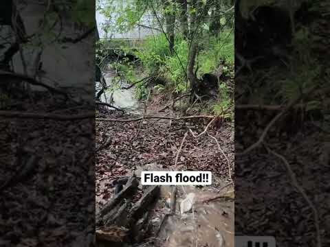 Crazy flash flood!! Overflowed the backyard pond! #shorts #life #outdoors #staysafe #flood