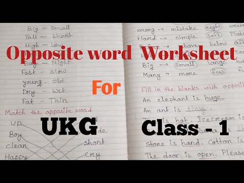 Opposite word in English l Opposite word worksheet for UKG and class -1 ll Opposite word for kids l